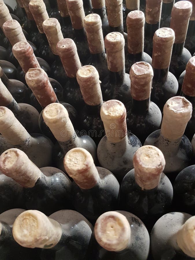 Old Wine Wine Cellar Grape Wine Winery Editorial Photography - Image of ...