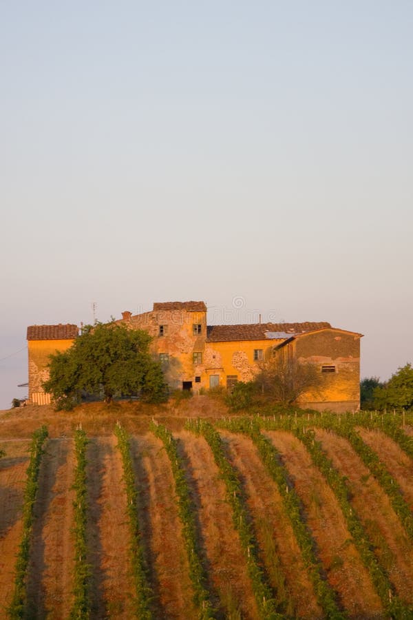 Old winery, Tuscany, Italy stock photo. Image of hill - 12070752