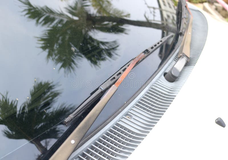 Old Wipe on Windscreen and Coconut Tree Reflect. Stock Image - Image of ...