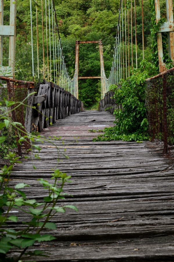 Old wire bridge stock image. Image of planking, wire - 116112913