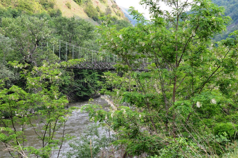 Old wire bridge stock photo. Image of bridge, wooden - 116114374