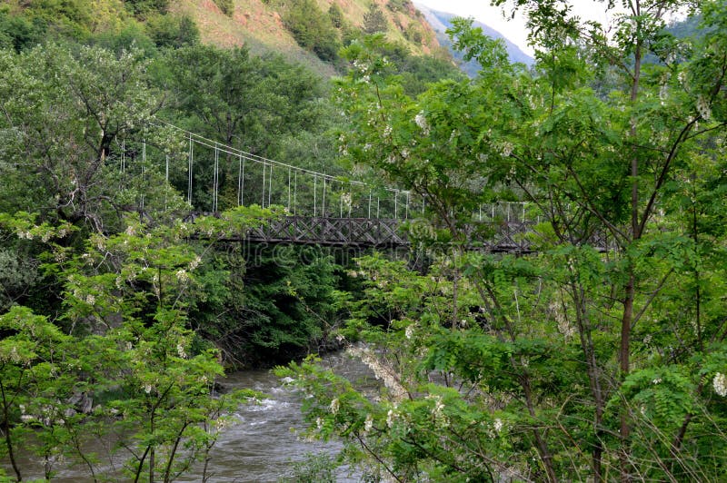 Old wire bridge stock photo. Image of green, color, hill - 116114402