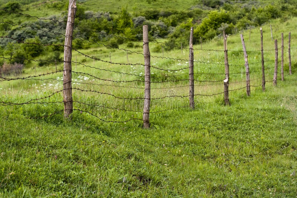Old wire fence stock image. Image of outdoor, acacia - 41628909