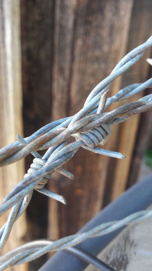 Old wire fence stock photo. Image of nice, wire, fence - 94414280