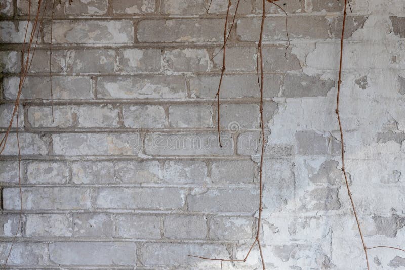 Old white wall stock image. Image of textured, brickwall - 153698673