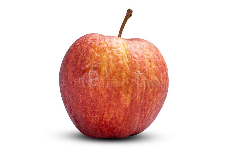 Old Withered Spoiled Red Apple Stock Image - Image of nutrition, berry ...