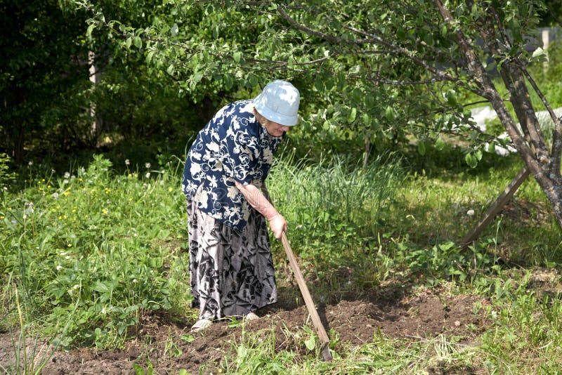 The Old Woman with a Chopper Works in Garden Stock Photo - Image of ...