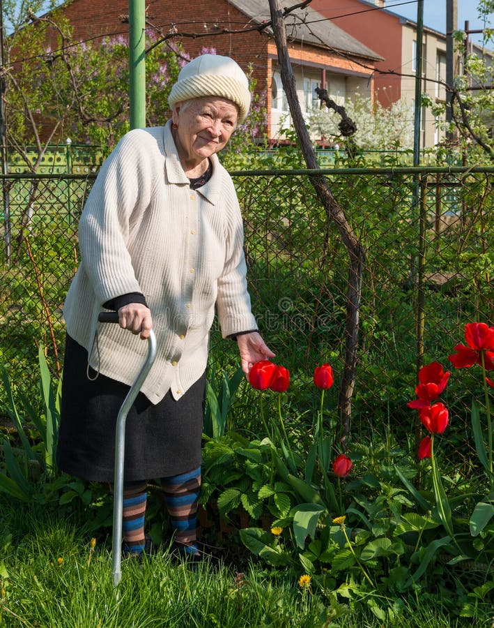 Old Lady In The Garden With Tulips Stock Photo - Image of tulip ...