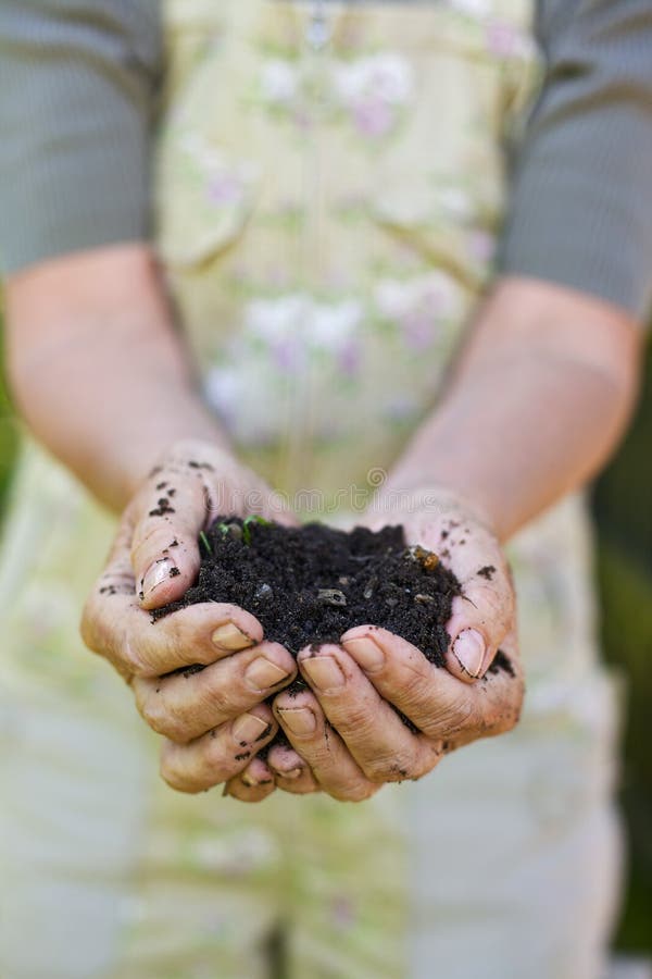 Old Woman with a Handful of Compost Stock Image - Image of agricultural ...