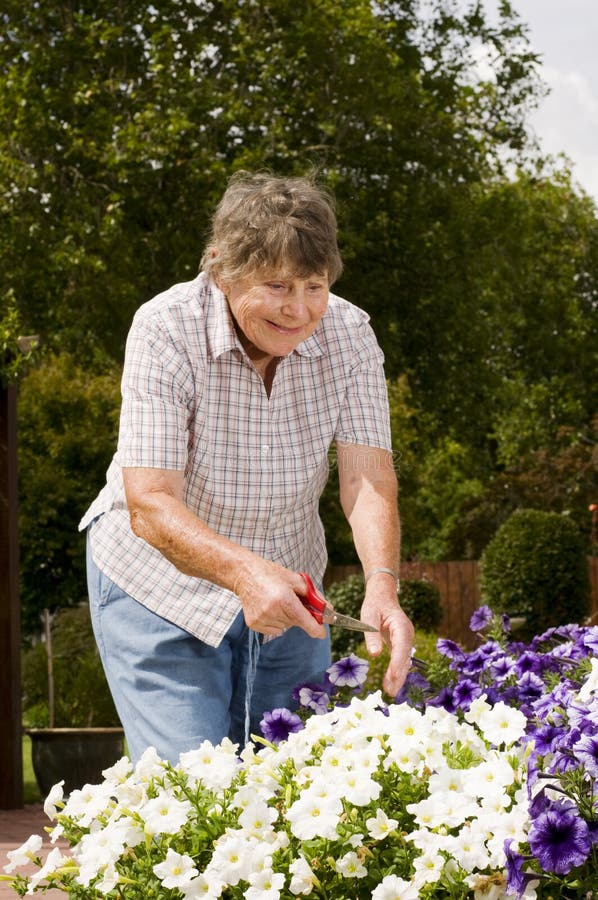 Old women gardening stock image. Image of happy, person - 9453037