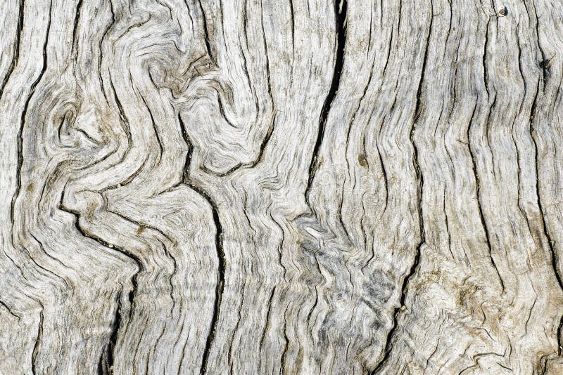 Old wood ash stock photo. Image of hardwood, brown, wood - 22712252