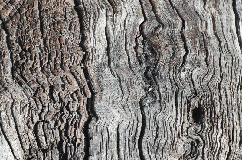 Old wood ash stock image. Image of aged, antique, nature - 22712337