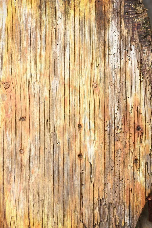 Old Wood Background Beautiful Light with Texture Stock Photo - Image of ...