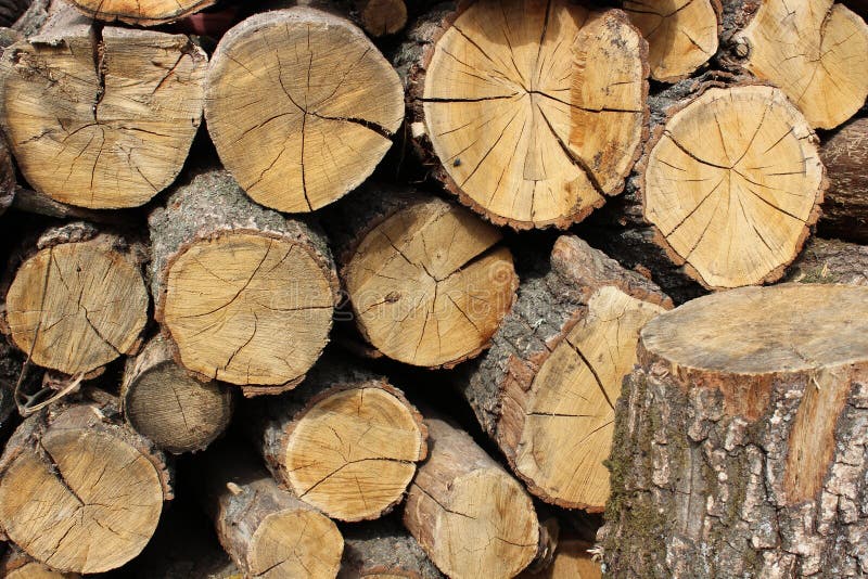 Old Wood Background. Deck of Old Logs Stock Image - Image of grunge ...