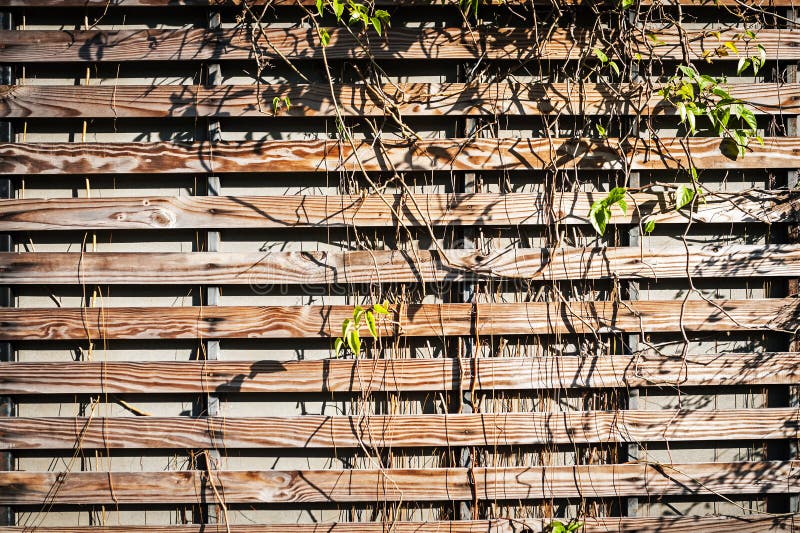 Old Wood Background Drop Shadow Stock Photo - Image of pattern, blank ...