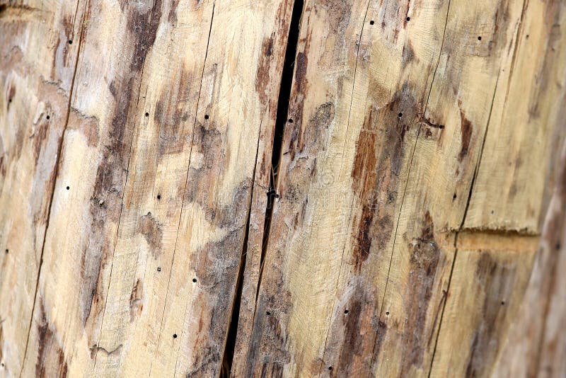 Old Wood Background Textured Brown Desk Tree Stock Photo - Image of ...