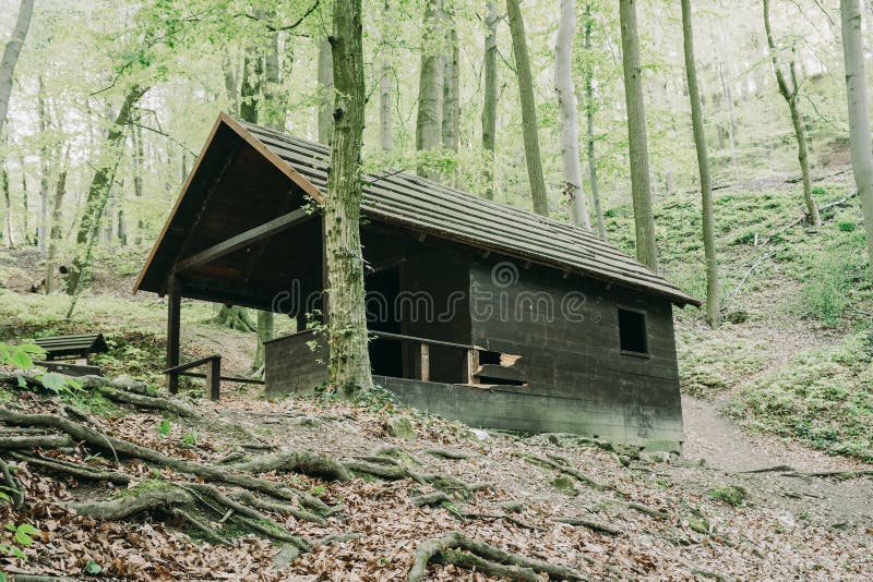 Old cabin in the forest stock photo. Image of wooden - 132671612
