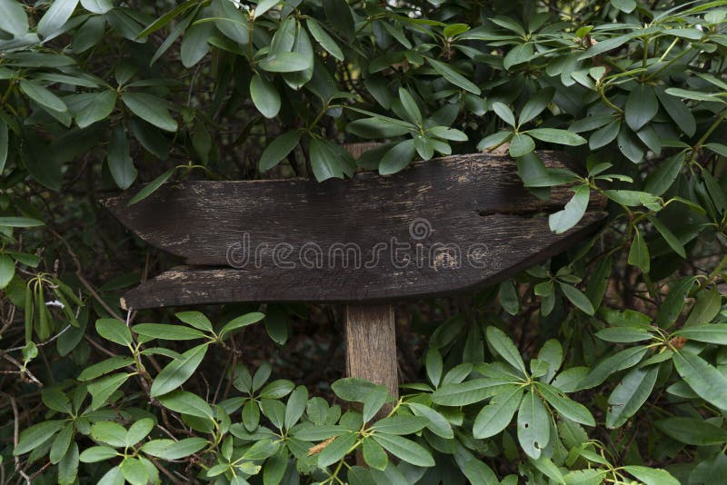Old wood direction signs stock photo. Image of pointing - 15903898