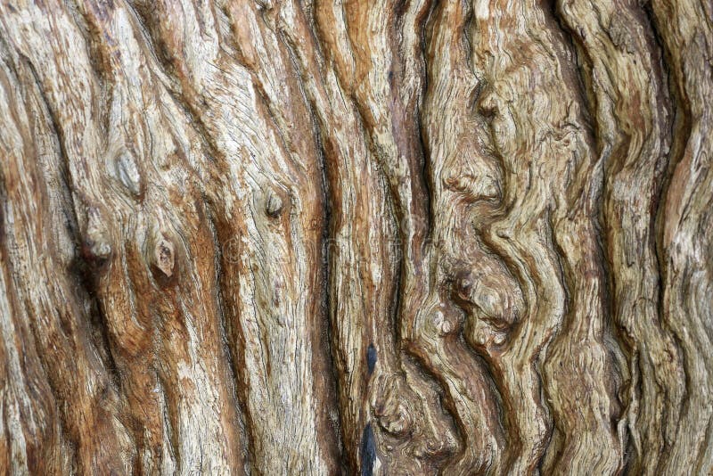 Old Wood Floor Pattern, Raw Wood Backdrop Stock Image - Image of ...