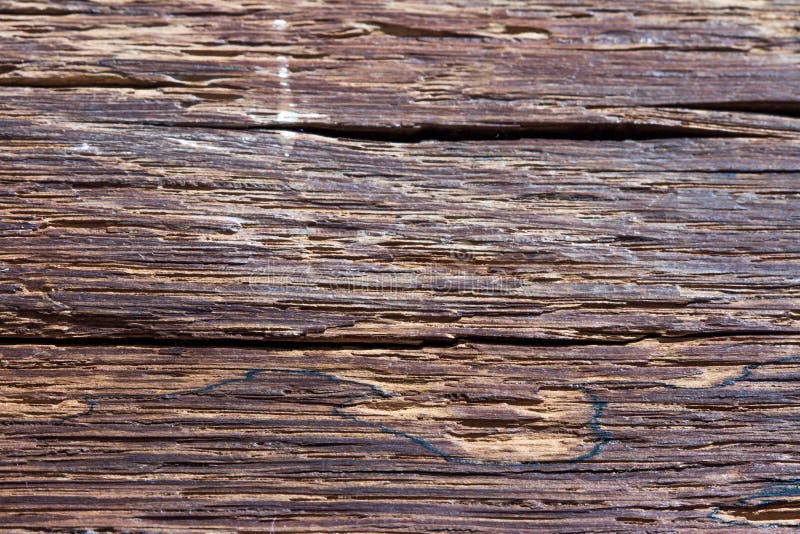 Old Wood Flooring Texture stock image. Image of texture - 195822071