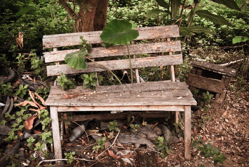 Old wood garden Bench, stock image. Image of bare, deserted - 33998313