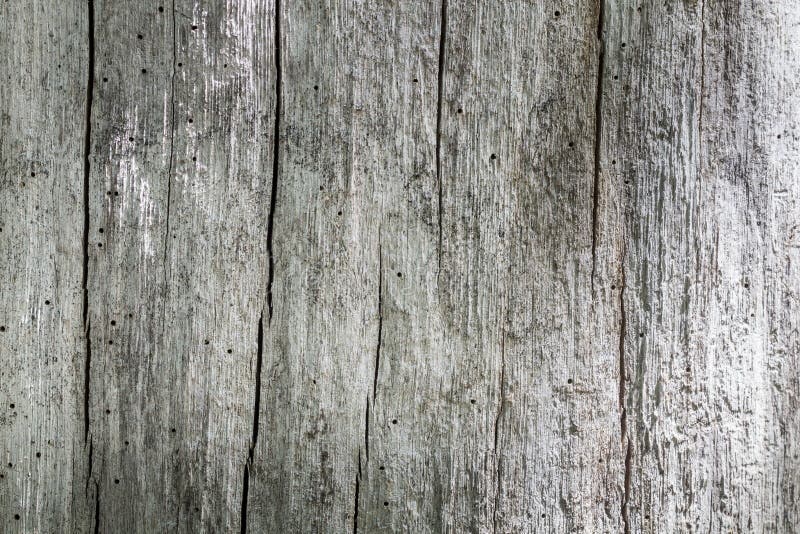 Old Wood grey textures stock photo. Image of panel, vintage - 72886392