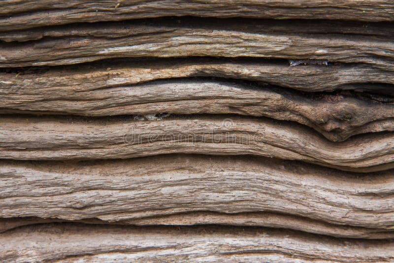 Old wood log texture stock photo. Image of clear, nature - 44747890
