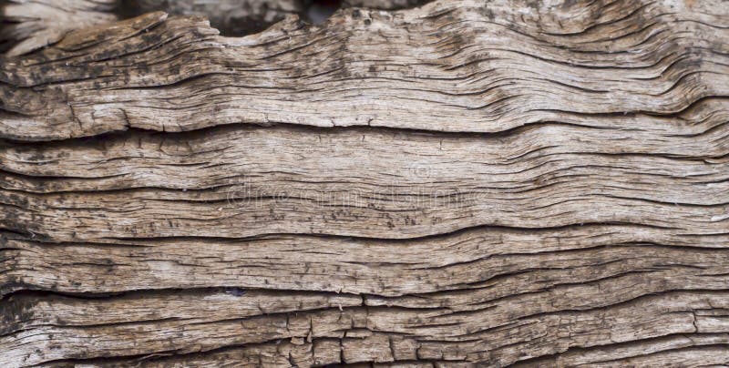 Old Wood with Natural Cracks Isolated on White Background Stock Photo ...