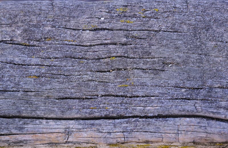 Natural Texture of Old Timber, Old Wood. Close-up Stock Image - Image ...