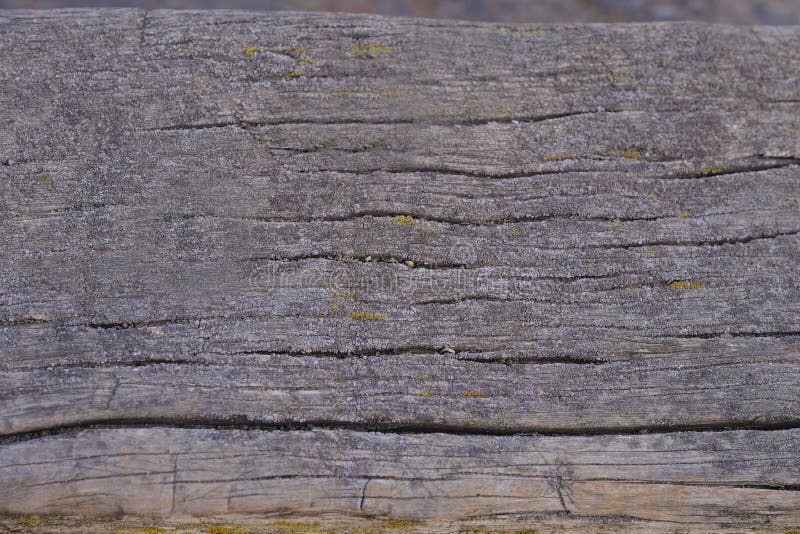 Natural Texture of Old Timber, Old Wood. Close-up Stock Photo - Image ...