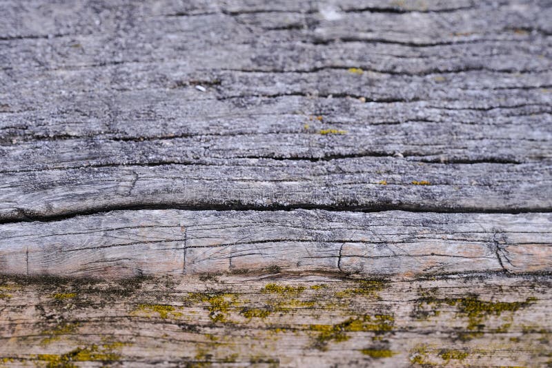 Natural Texture of Old Timber, Old Wood. Close-up Stock Image - Image ...