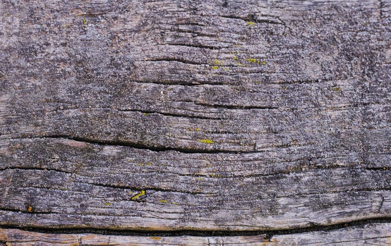 Natural Texture of Old Timber, Old Wood. Close-up Stock Photo - Image ...