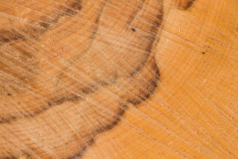 Old wood pattern texture stock photo. Image of wallpaper - 128137222