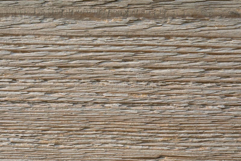 Old Wood Plank Texture on Dimmed Sun Stock Image - Image of material ...