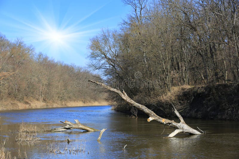 Old wood in river water stock photo. Image of flooded - 38759824