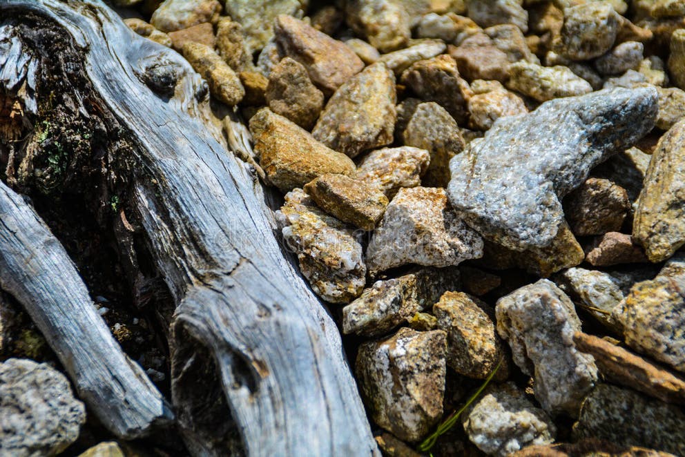 Old wood with rocks stock image. Image of environment - 86997453