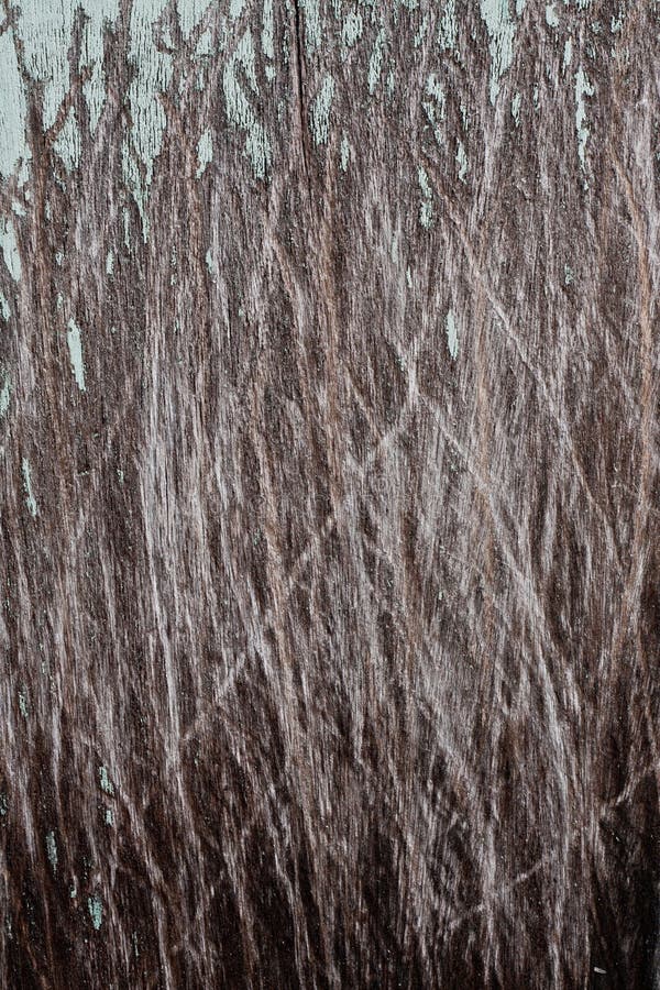 OLD WOOD scratch stock photo. Image of damaged, background - 24260300