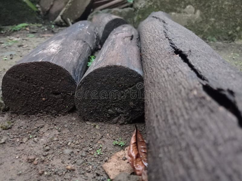 Old wood still standing stock image. Image of standing - 209197633