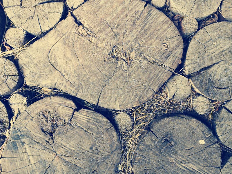 Wood stump texture stock image. Image of wood, flooring - 153416951