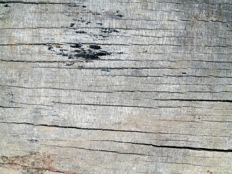 Old wood surface stock photo. Image of exterior, natural - 69897390