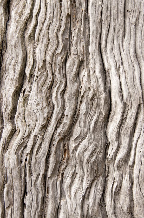 Old wood texture stock image. Image of dried, pattern - 26132047