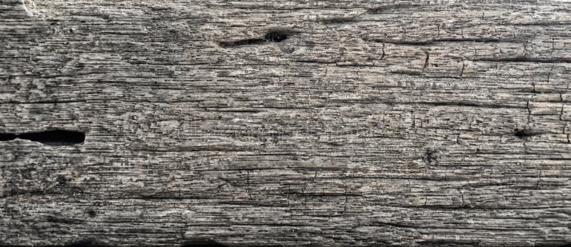 Old Wood Texture, the Surface of the Material Stock Image - Image of ...