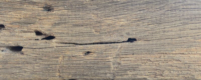 Old Wood Texture the Texture of Materials Changes with Time and the ...