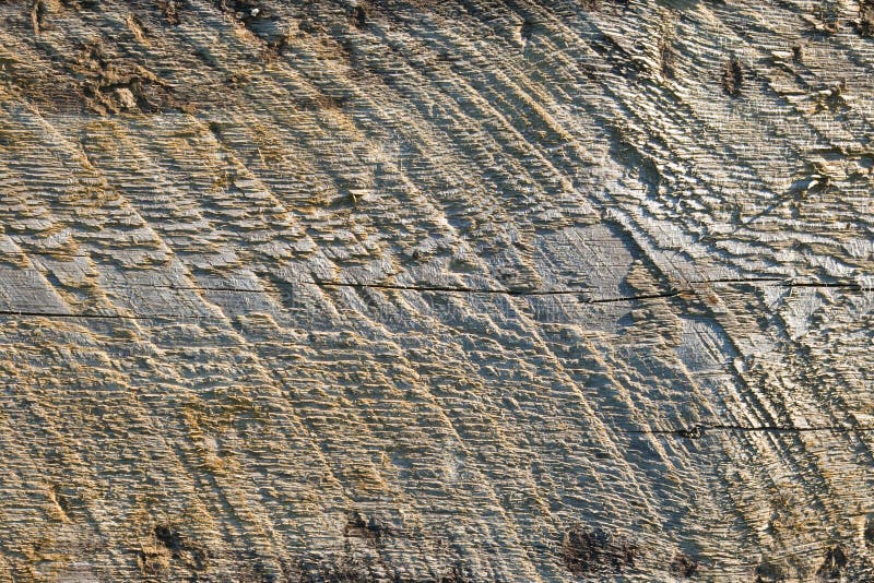 Wood worm holes stock photo. Image of background, brown - 8094742