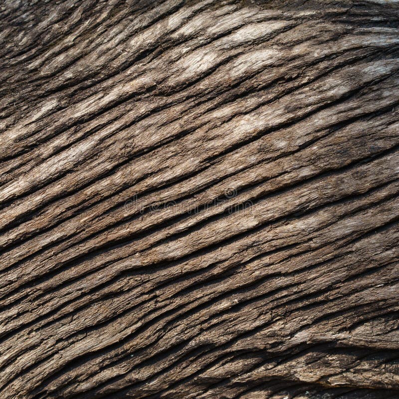 Old wood texture stock image. Image of forest, life, concentric - 68324779
