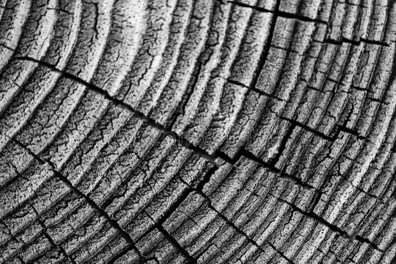 Old Wood Texture. Abstract Background for Design Stock Photo - Image of ...