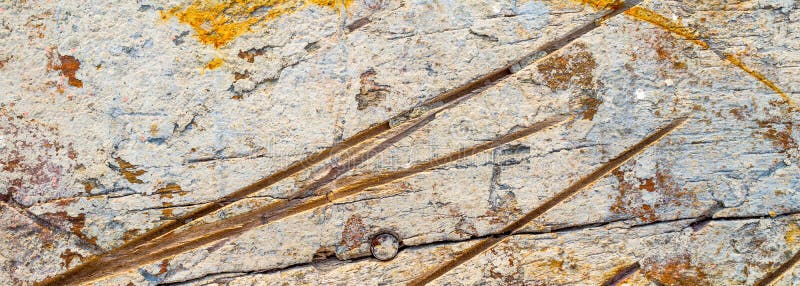 Old Wood Texture, Ancient Wooden Background with a Vintage Structure ...