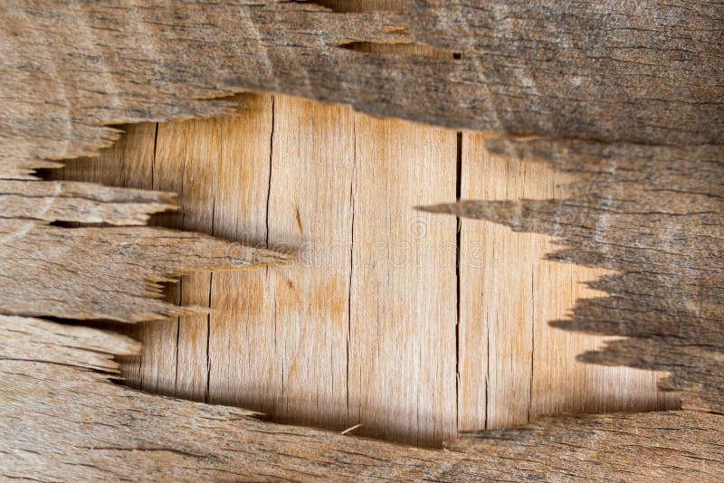 Old Wood Texture Background Board Stock Photo - Image of textured ...