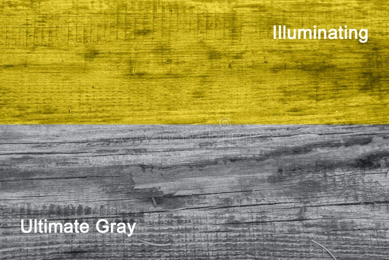 Old Wood Texture for Background. Color of the Year 2021 Editorial Stock ...