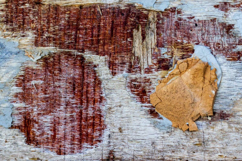 Old Wood Texture Background Stock Image - Image of wood, rust: 289676179